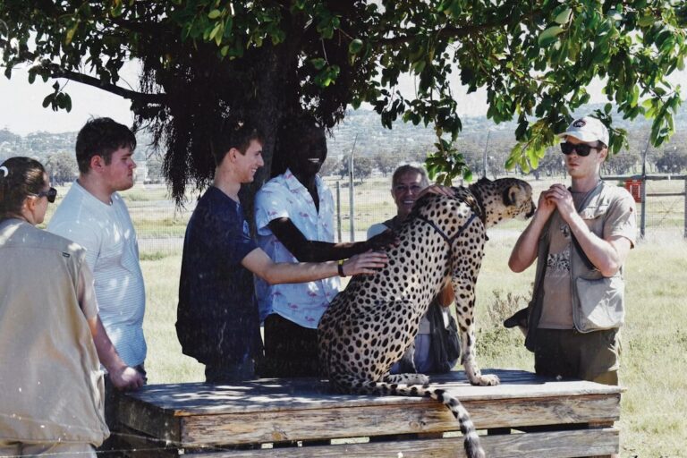 How To Start A Career Working With Wild Animals Around The World