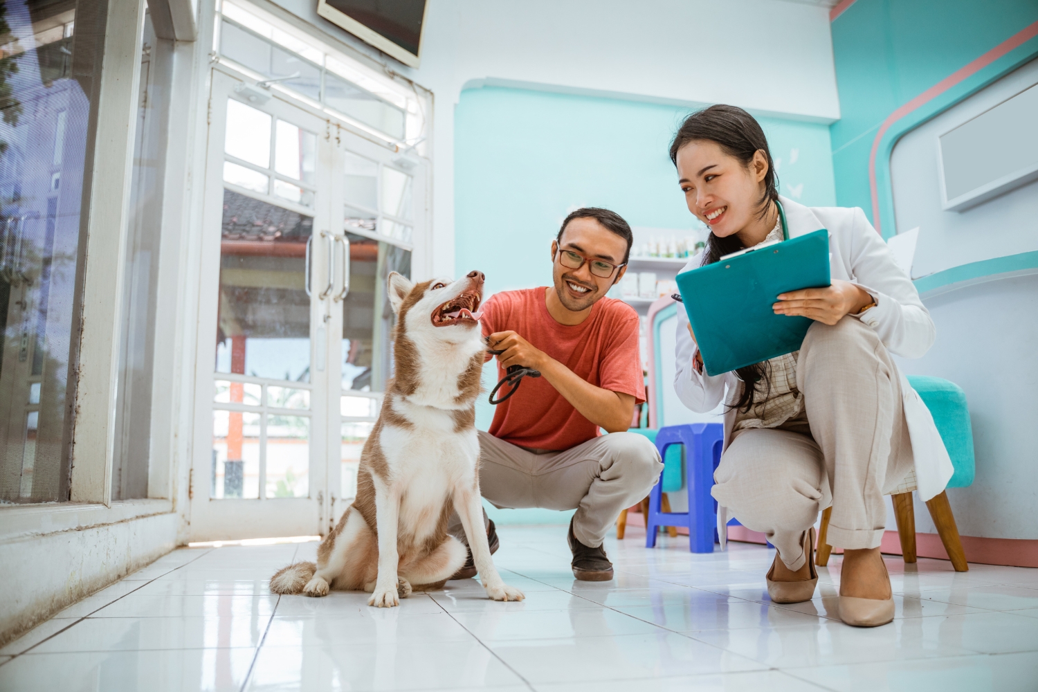 Veterinary Endoscope: A Game-Changer in Modern Animal Healthcare